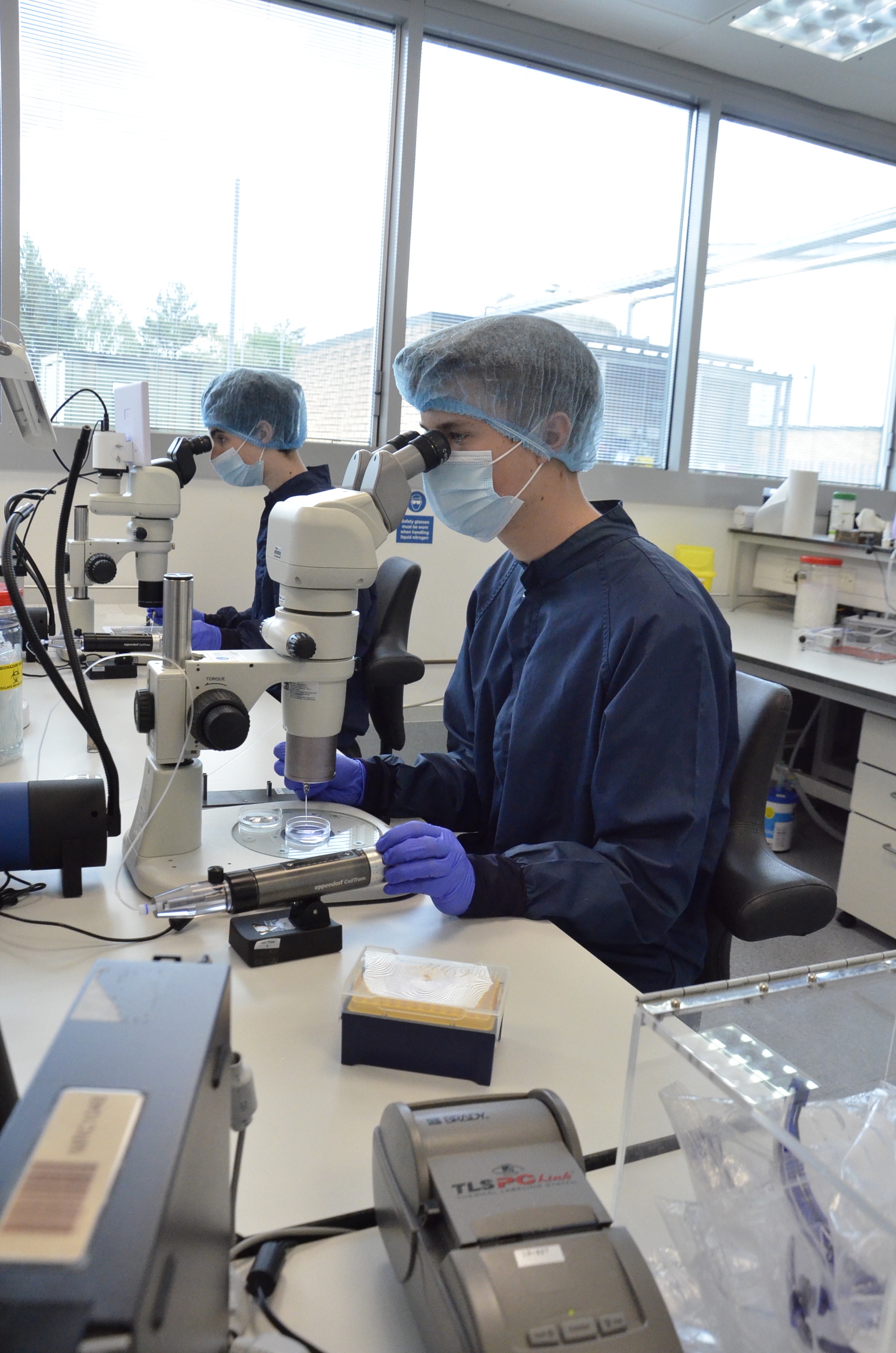 A busy summer for the MLC and Advance | Mary Lyon Centre