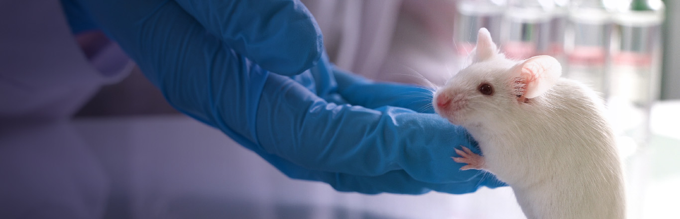 MRC Mouse Genetics Research Institute | Home | MRC Harwell