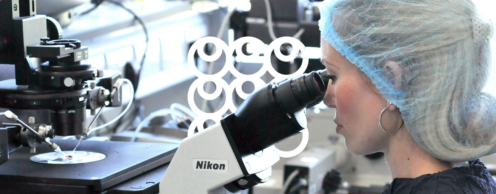 Mouse Genetics and Colony Management for Researchers | Mary Lyon Centre