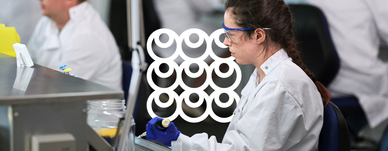 Mouse Genetics and Colony Management for Researchers | Mary Lyon Centre