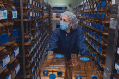 National facility for mouse genetics | Mary Lyon Centre