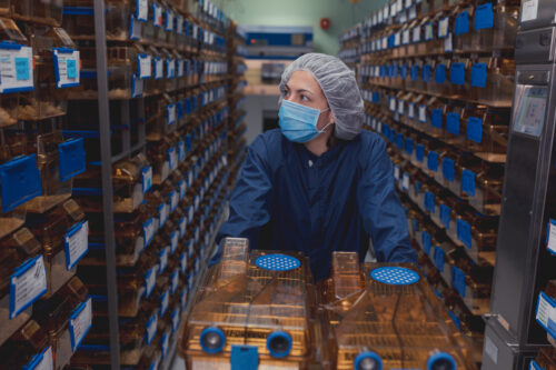 National facility for mouse genetics | Mary Lyon Centre