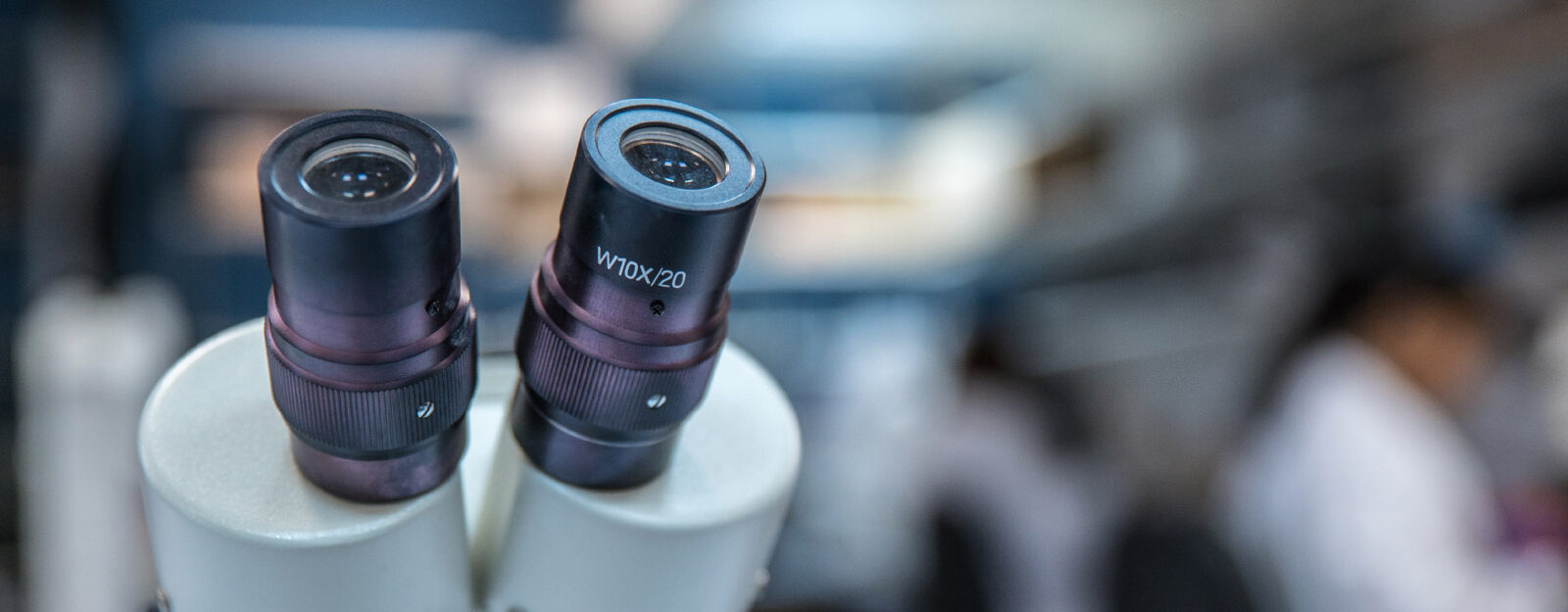 Practical Laboratory Skills | Mary Lyon Centre