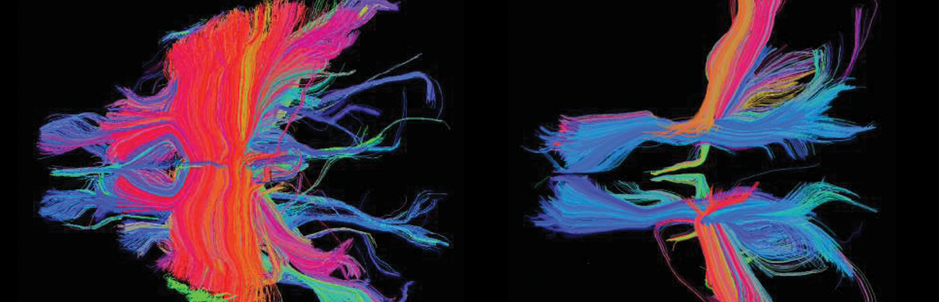 Research | MRC Harwell